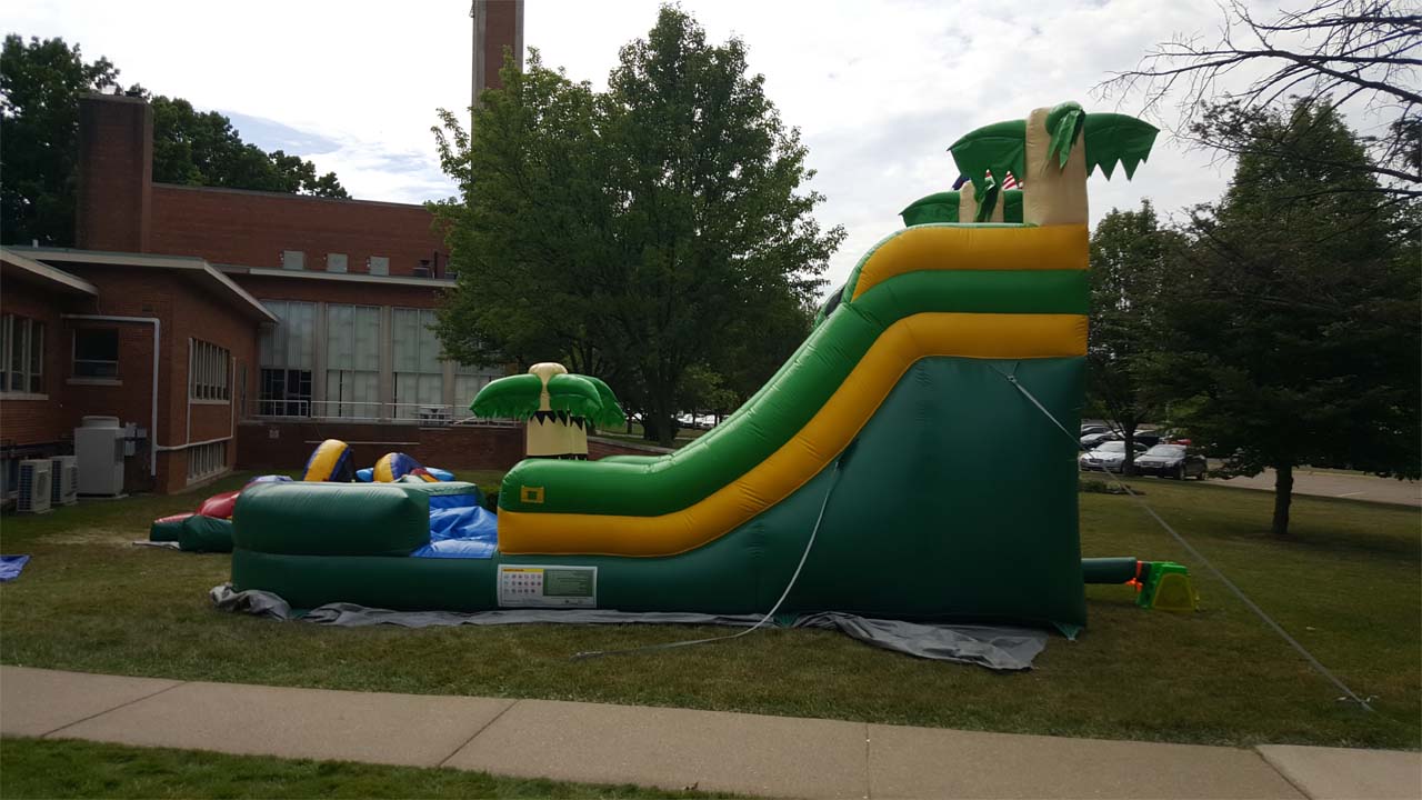 13' Palm Tree Dry Slide Rentals